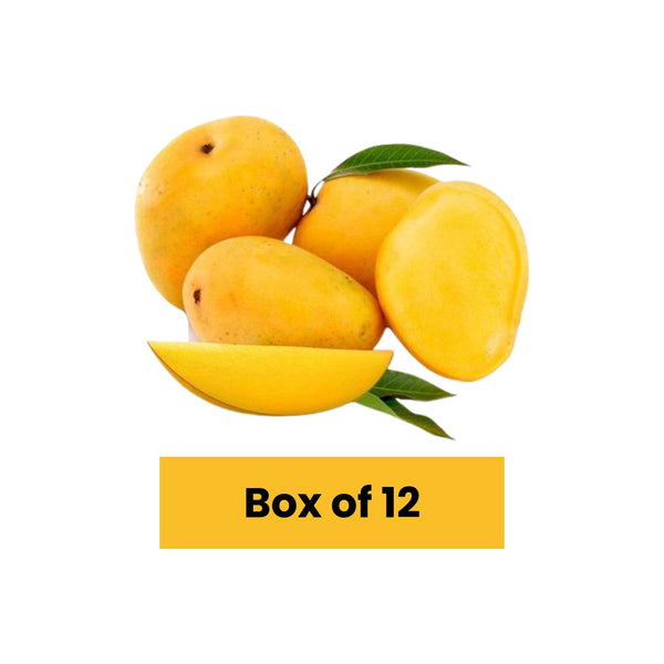 Kesar Mangoes (Box of 12) – Saras Foods UK